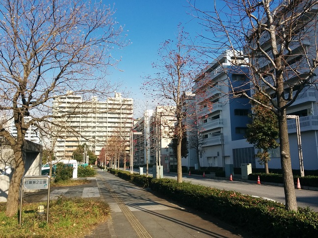 %e6%9d%b1%e3%81%ae%e8%a1%97%e6%ad%a3%e9%9d%a2%e9%81%a0%e6%99%af | loboFP事務所